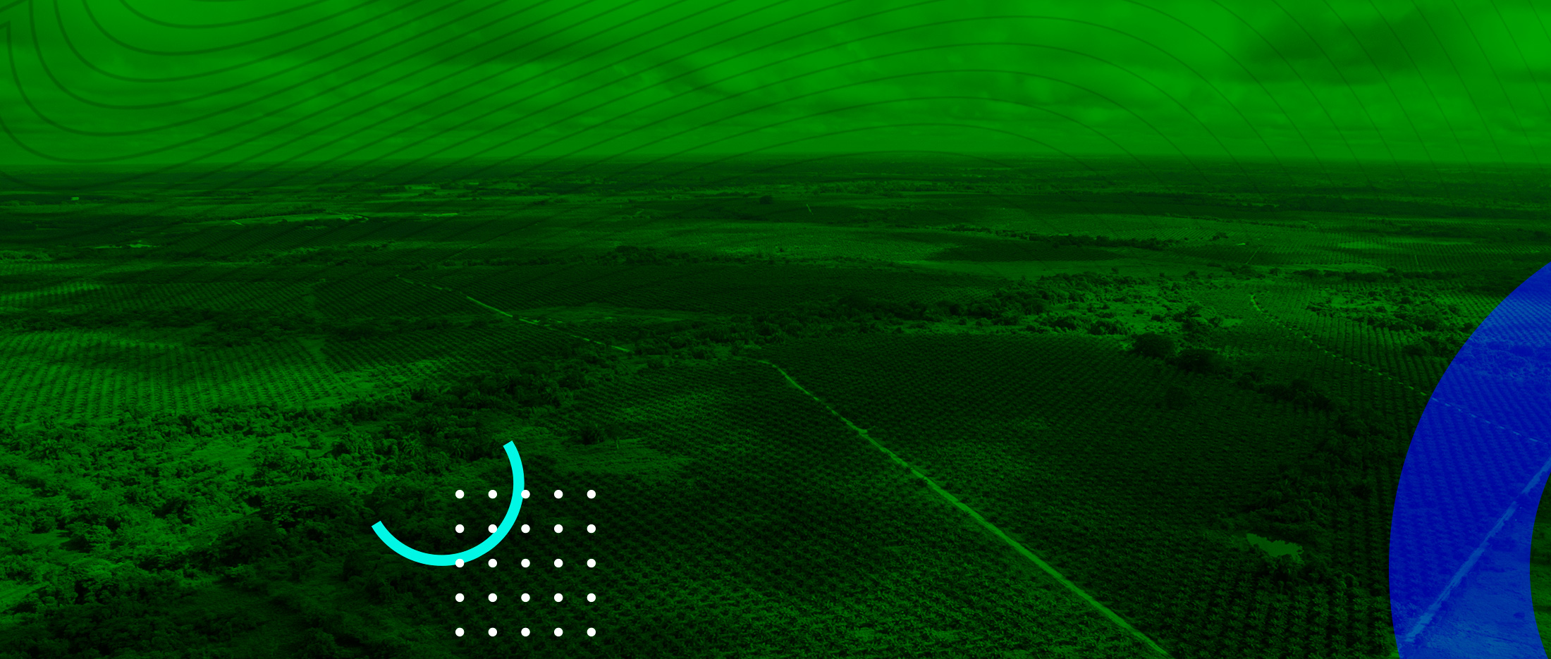 Grupo AlEn | HOME - Grupo AlEn